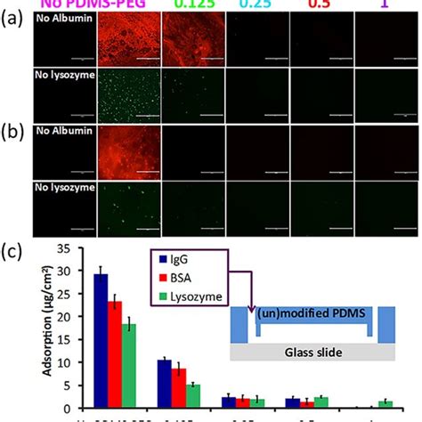 Pdms With Pdms Peg Bcp Additives Exhibit Lower Protein Adsorption Download Scientific Diagram