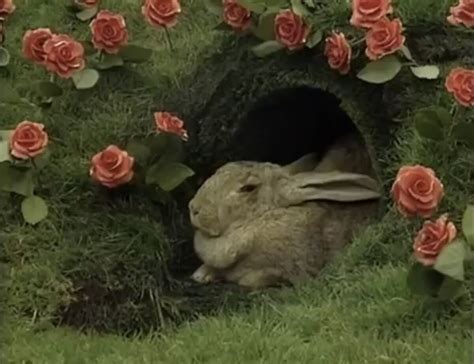 The Rabbits Song Teletubbies Wiki Fandom