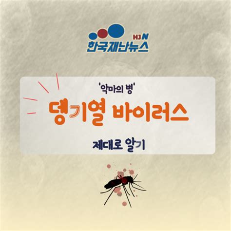 카드뉴스 악마의 병 뎅기열 바이러스제대로 알기