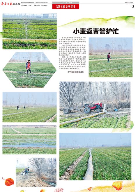 第三版 新济阳 济阳数字报刊