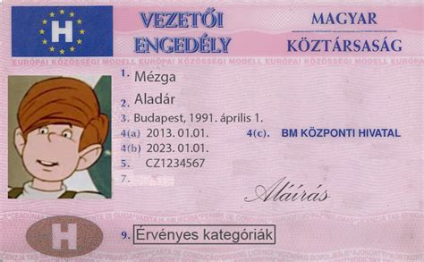 Ön tudja milyen adatok vannak a vezetői engedélyén Autoszektor