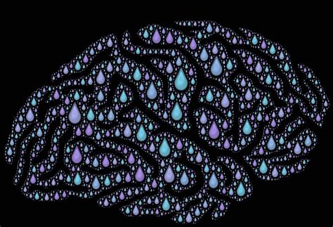 The Connection Between Dissociative Identity Disorder And Sex Trafficking Shared Hope