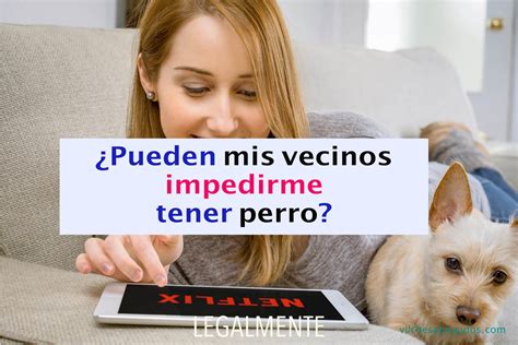 Como Hacer Para Que Un Perro Deje De Molestarte