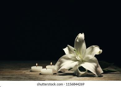 590 Bereavement Lily Images Stock Photos Vectors Shutterstock