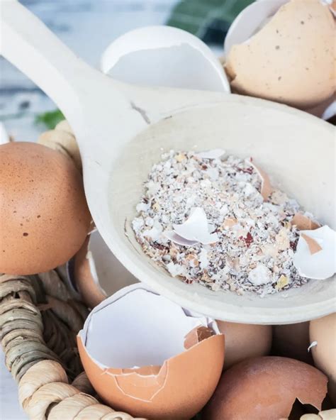 The 10 Best Natural Homemade Fertilizers For Indoor Plants