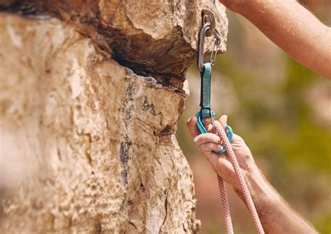 The Different Types Of Carabiners For Climbing 2025 Guide