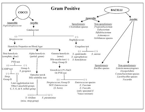 My Scientific Blog Research And Articles Identification Chart Of