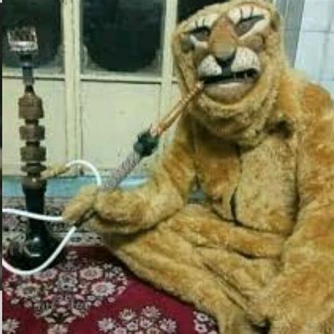 ایستگاه رپ⏩ ️⏪ هیپ هاپ On Instagram “شیر تعزیه سم خالص 😂😂 بروزترین