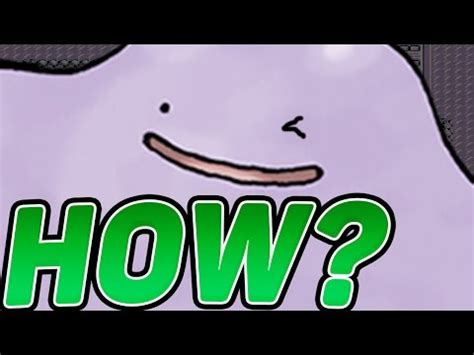 Does Ditto Really Have Sex Pok Memes Pok Mon Pok Mon Go