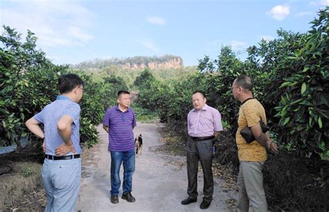 陈善春所长一行赴三峡库区开展科技扶贫与技术服务 西南大学柑桔研究所