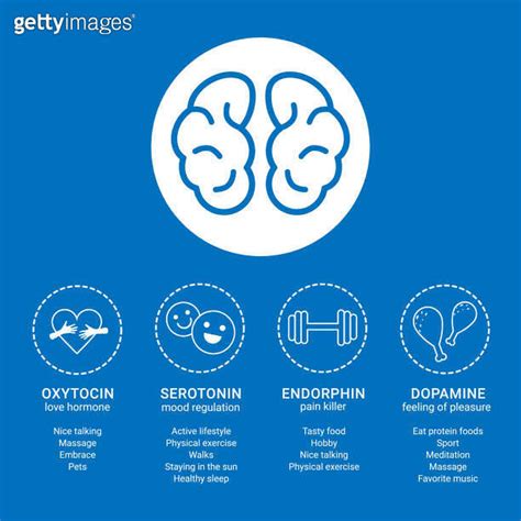 Scheme Of Happiness Hormones Oxytocin Serotonin Dopamine Endorphin