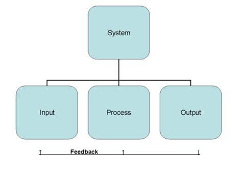 Universal Systems Model Flashcards Quizlet