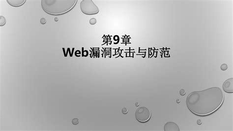 第9章 web漏洞攻击与防范 word文档在线阅读与下载 无忧文档