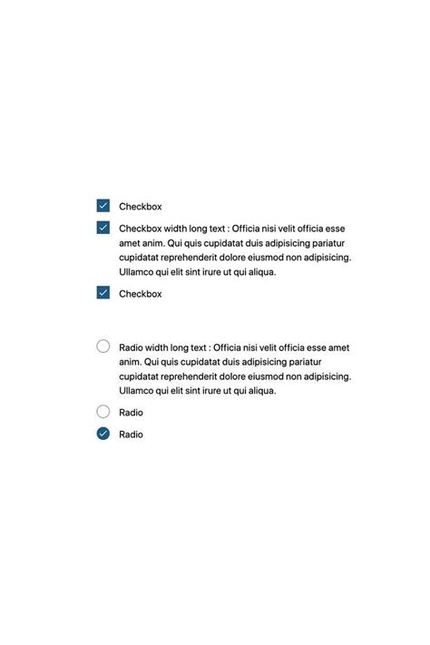 Input Checkbox And Radio Css Grid Svg