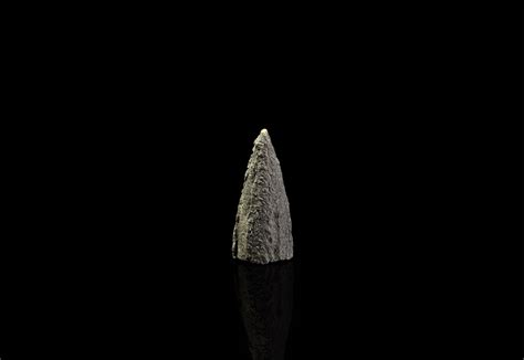 Sold Price Fossil Belemnite Bullet November 6 0120 10 00 Am Gmt