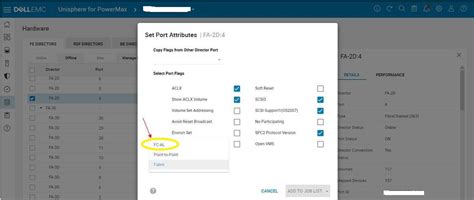 PowerPath For Windows Unable To See LUNs On Direct Attached To PowerMax Array Dell Northern