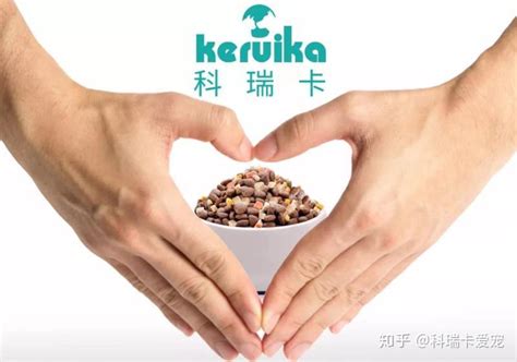 为什么猫咪整天躺着不爱动？「科瑞卡科普」 知乎