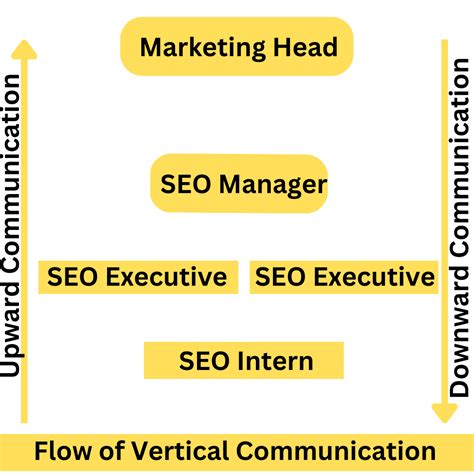 What Is Vertical Communication Examples Types And Importance