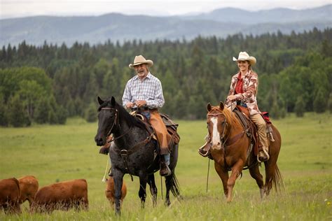 Heartland Episode On The Ropes