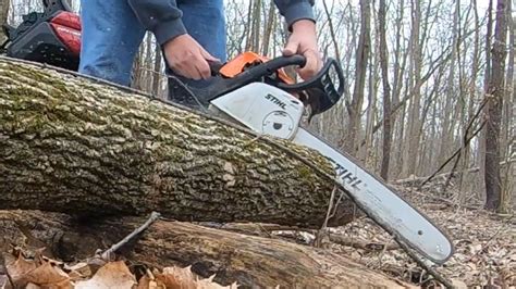 Stihl MS Chainsaw Review Forestry Reviews