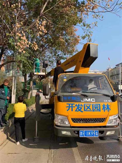 菏泽市开发区园林集中清理遮挡监控摄像头树枝树叶凤凰网