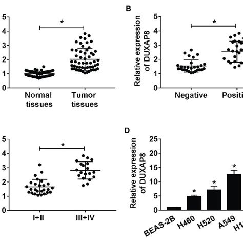 Lncrna Duxap8 Expression In Nsclc Tissue Samples And Cells And Its