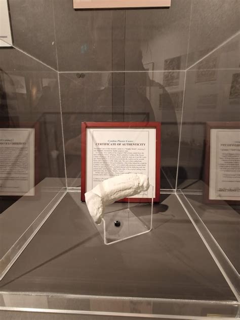 Plaster Cast Of Jimi Hendrixs Penis R Jimihendrix