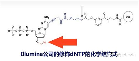 生信自学笔记 Alignment（3） 知乎