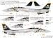 Hungarian Armour Dec HAD32080 Grumman F14A Jolly Rogers The