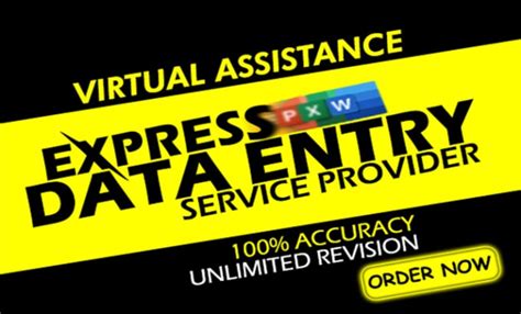 Do Data Entry Typing Work Copy Paste Excel Word Pdf By Jasmine Pr0 Fiverr