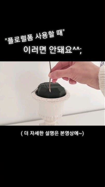 플로럴폼 사용할때 Shorts플라워레슨플라워클래스꽃수업플로리스트florist플로럴폼플로랄폼사용방법화훼장식기능사