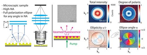 K Space And Real Space Microscopy Of Single Nano Objects • Femius