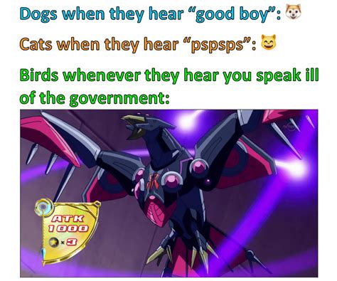 Squawk Squawk They Know The Plebs Know R Mxrmods
