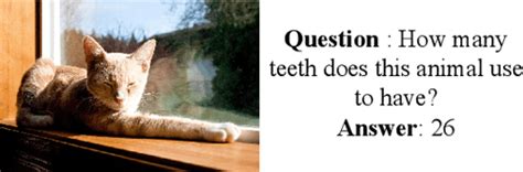 Figure 1 From Retrieval Augmented Visual Question Answering With Outside Knowledge Semantic