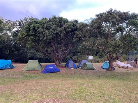 Mission bivouac pour la classe défense Collège Jean Albany Académie