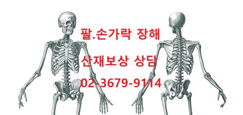 산재 장해 등급표 9팔 및 손가락 의 장해 네이버 블로그