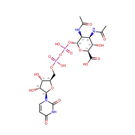 Rcsb Pdb 8sxy X Ray Crystal Structure Of Udp 2 3 Diacetamido 2 3