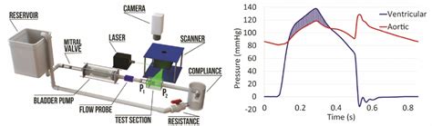 In Vitro Pulsatile Flow System Georgia Tech Left Heart Simulator Download Scientific Diagram