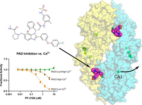 Acs Chemical Biology Vol 19 No 10 Acs Publications