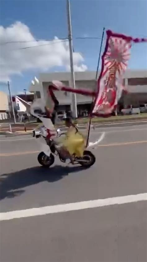 チャンプ道路 現役シリーズ 色々ここで書くのはシャバすぎるので、見て感じてください。スタイル、雰囲気、表情、全てからリアルな暴走族を
