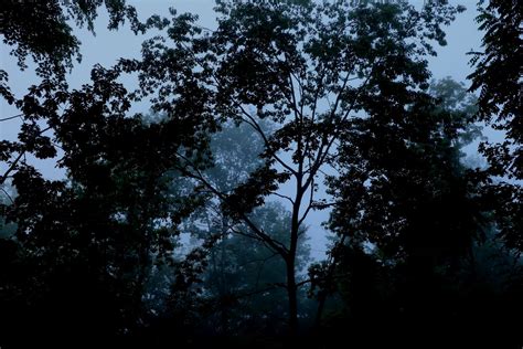 Public Speaking — Ethan Tapper Forester Author