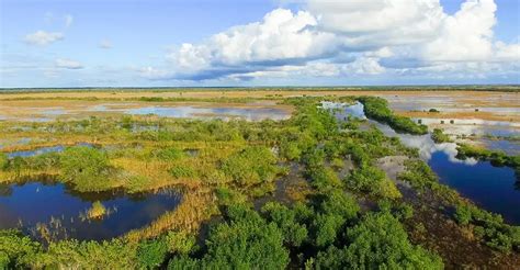 Floridas Section 404 Permitting Under Legal Scrutiny What It Means