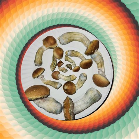 Weeeeeeeeeeeeeeeeeeeeeeeeee R Shroomers