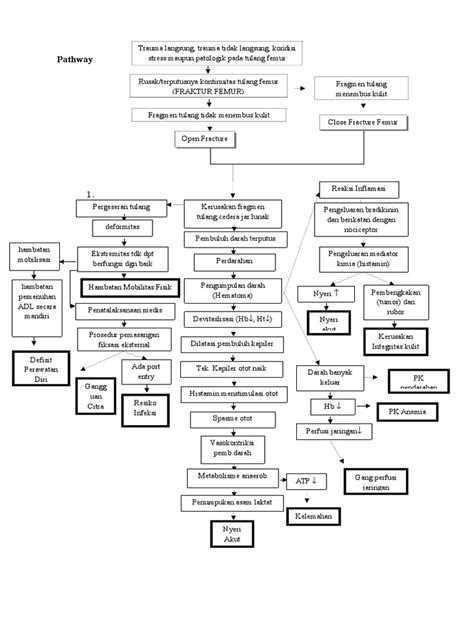 Pathway Fraktur