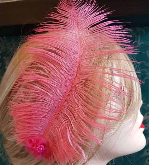 Strawberry Pink Ostrich Feather Clip Hair Pieces Feather Planet