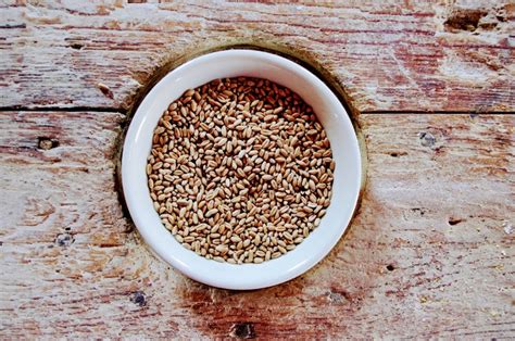 Whole Grain Pastry Flour
