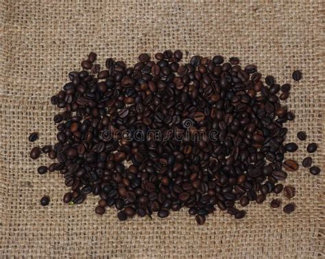 Concept Wallpaper For Coffee Shop Scattered Coffee Beans Combined With