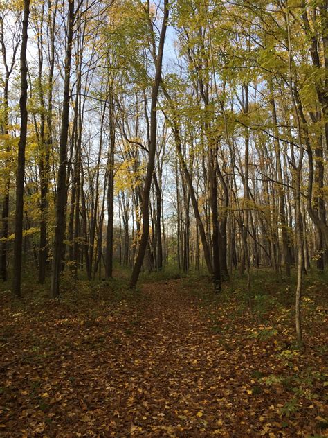 Visita Bemus Point Scopri Il Meglio Di Bemus Point New York Nel 2021 Viaggia Con Expedia