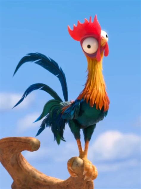 Heihei Moana Wikia Fandom Heihei Moana Wikia Fandom