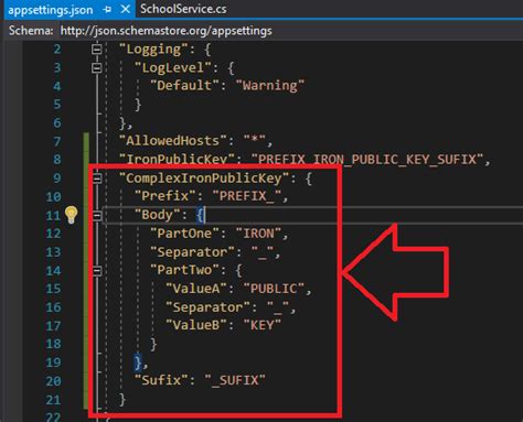 Configure Options Reading Settings From Appsettings Dependency Injection Net Core Part Iv